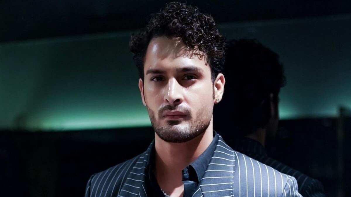 Happy Birthday Umar Riaz: Watch His Instagram Reels With Ex-Bigg Boss ...