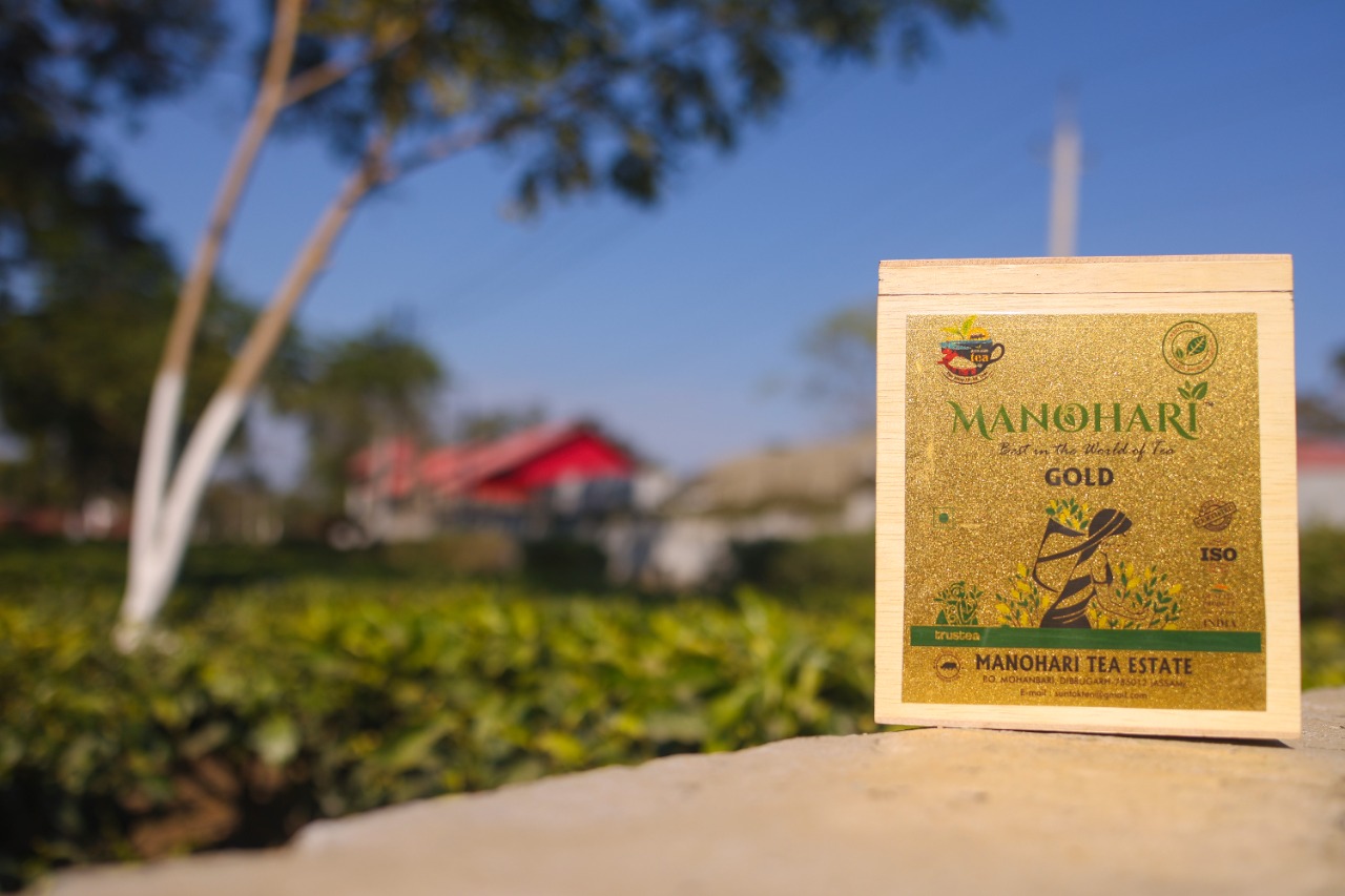 Assam's Manohari Gold Tea Sold at Record Rs 1.15 Lakh Per Kg; Here's ...