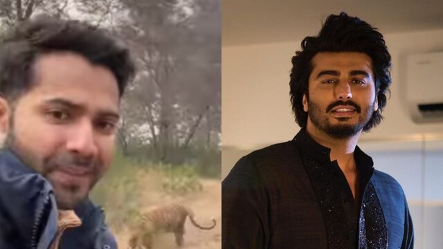 Varun Dhawan Spots Tiger During Jungle Safari; His Hilarious Caption ...