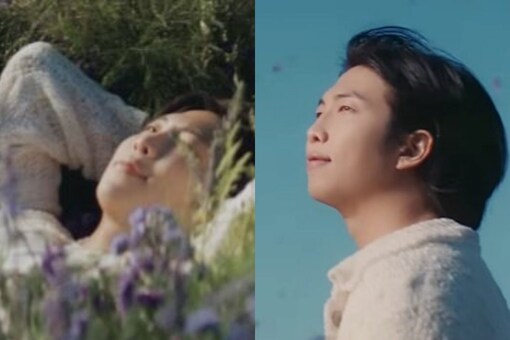 RM Drops His Album Indigo, Bares His Heart in the Song 'Wild Flower ...