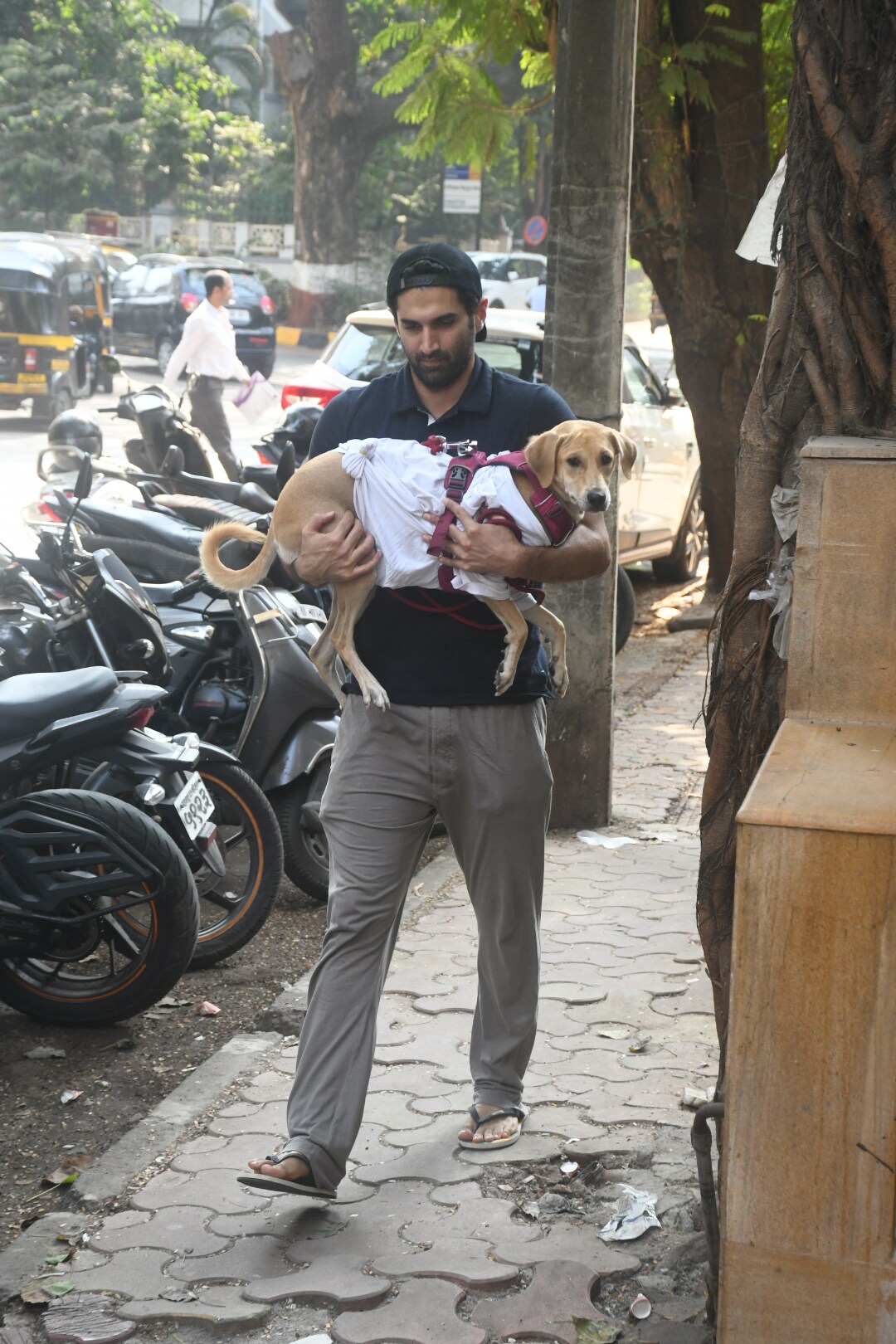Janhvi Kapoor, Aditya Roy Kapur, Malaika Arora, Sidharth Malhotra ...