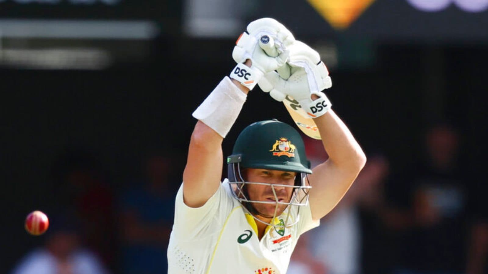 Winning in India Extra Motivation: David Warner | News News - News18