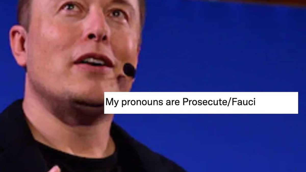 Elon Musk Tweets His Pronouns are 'Prosecute/Fauci,' Faces Backlash on ...