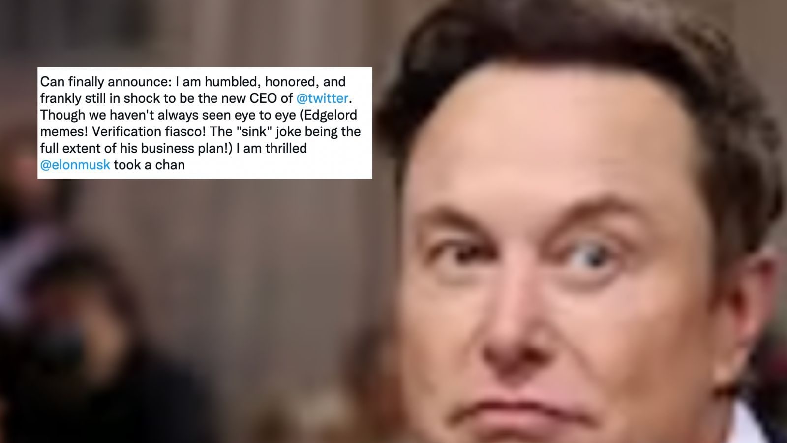 'Still in Shock': Twitter's 'New CEO' Thanks Elon Musk, Satirical ...