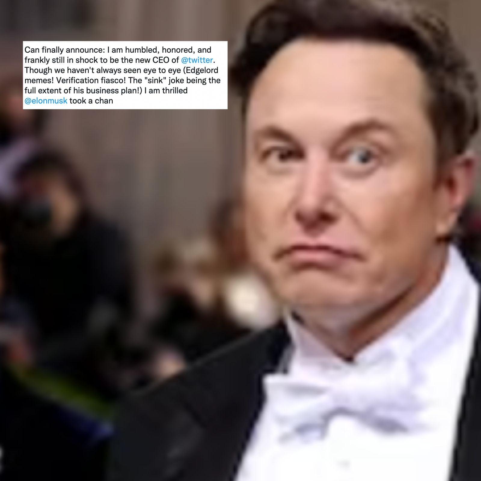 Sink Thread Memes Still In Shock': Twitter's 'New CEO' Thanks Elon