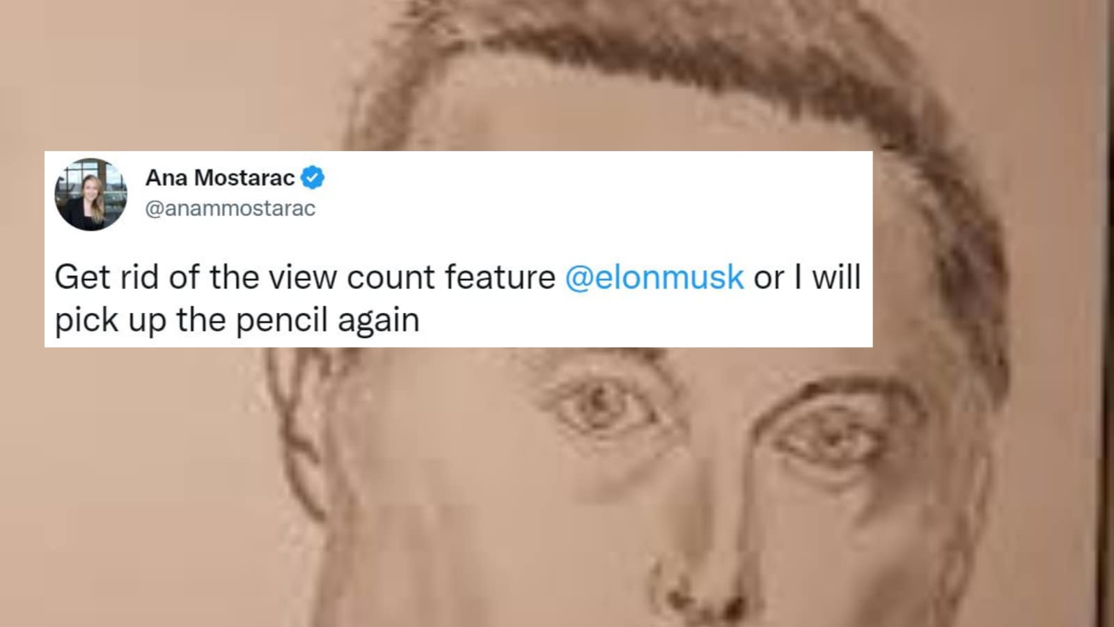 Twitter User 'Threatens' Elon Musk Over View Count Feature With ...