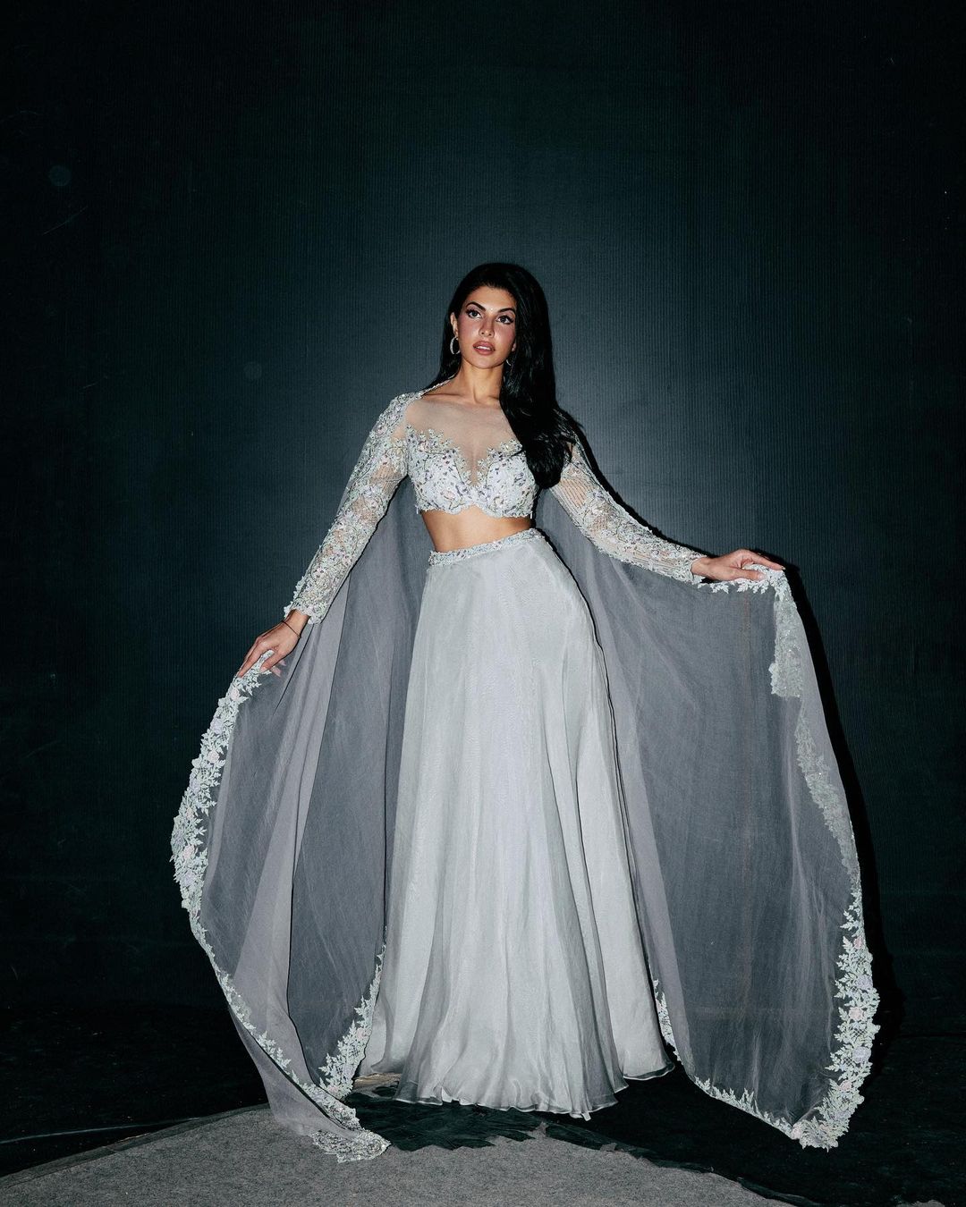 Jacqueline Fernandez Looks Ravishing In Embroidered Sheer Saree, Check ...