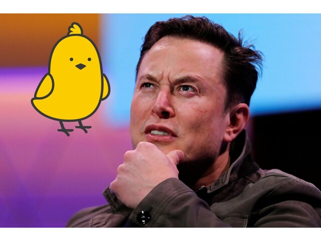 Twitter Suspends Query Handle for Indian Rival Koo, Co-Founder Unhappy ...