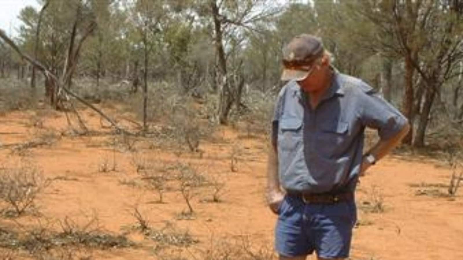 Strange 80-feet Long Object Found Buried in Sand at Florida Beach ...