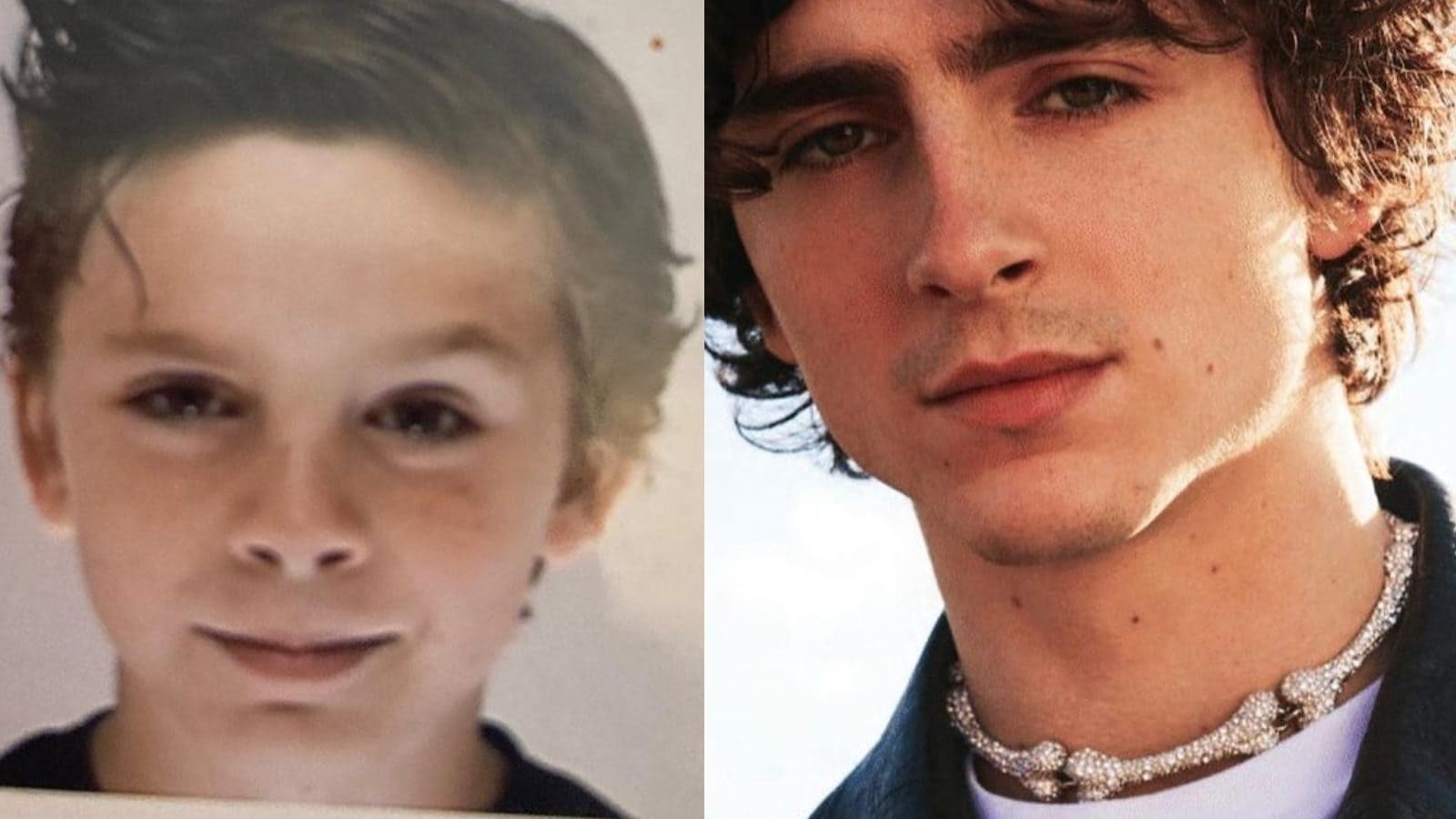 Timothee Chalamet Drops Adorable Childhood Photo on 27th Birthday ...