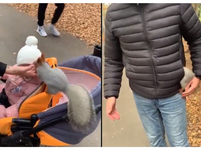 Watch: This Squirrel’s Playful Interaction With A Family Is All Things ...