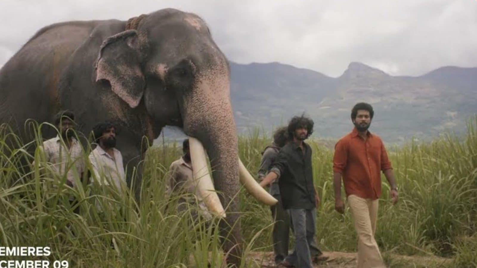 Tamil Political Thriller Ratha Saatchi’s Trailer Released; Check Out Fans’ Reactions | Movies ...