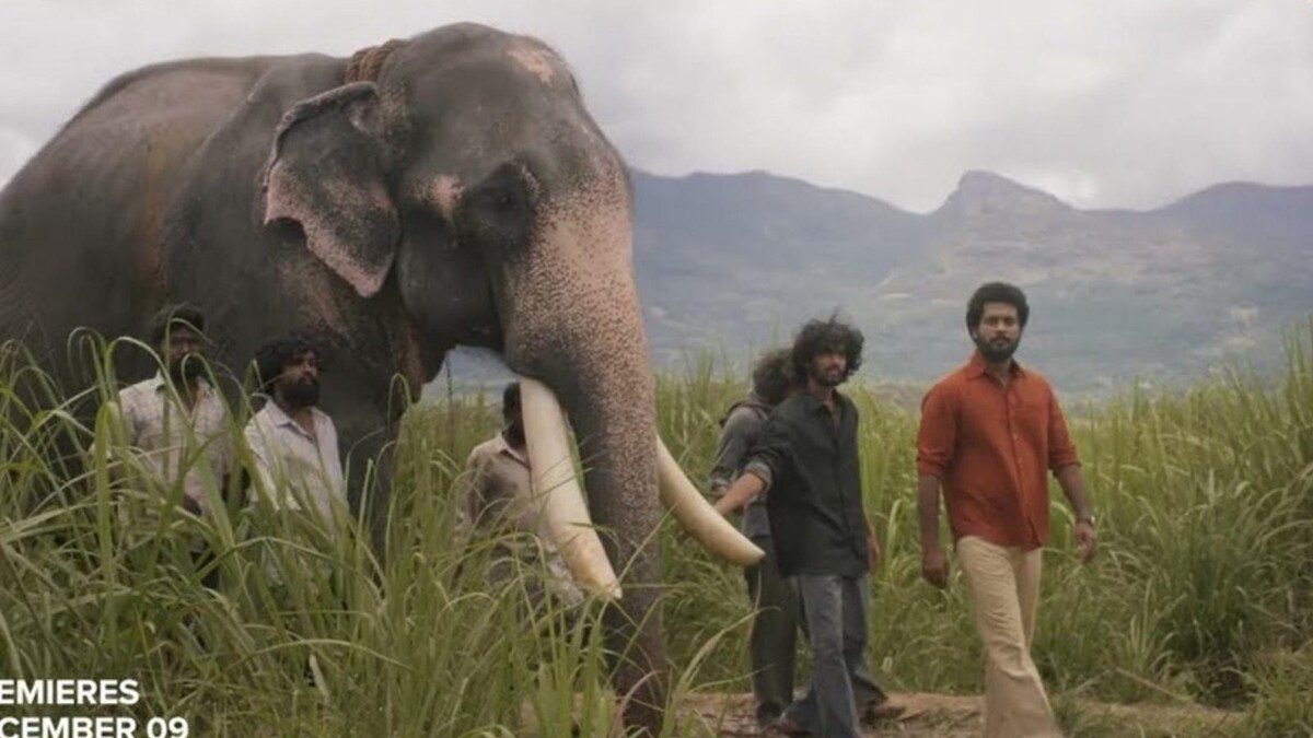 Tamil Political Thriller Ratha Saatchi’s Trailer Released; Check Out ...