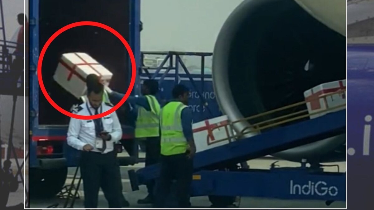 IndiGo Luggage Handlers Carelessly Toss Bags Into Trailer, Airline ...