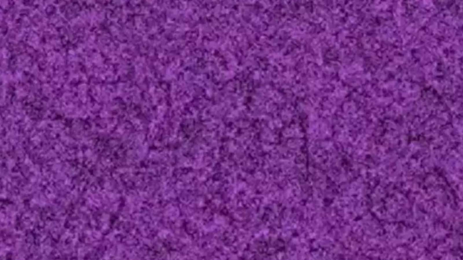 Optical Illusion: Can You Spot Hidden Numbers in This Picture? | Buzz ...