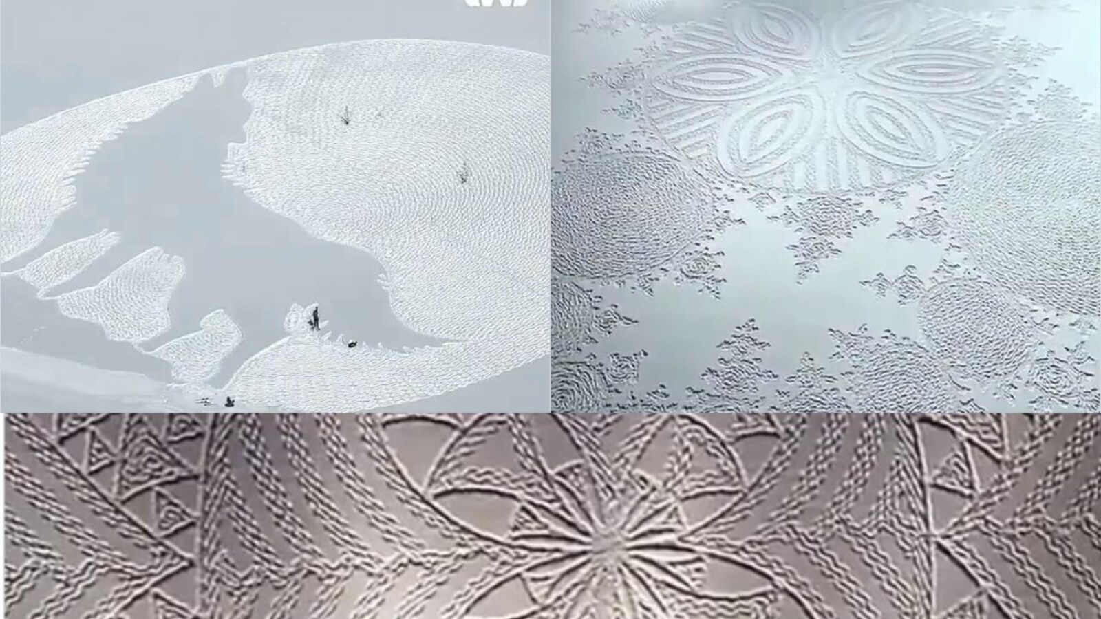 Artist Captivates Internet With His Mind-Boggling Illustrations In ...