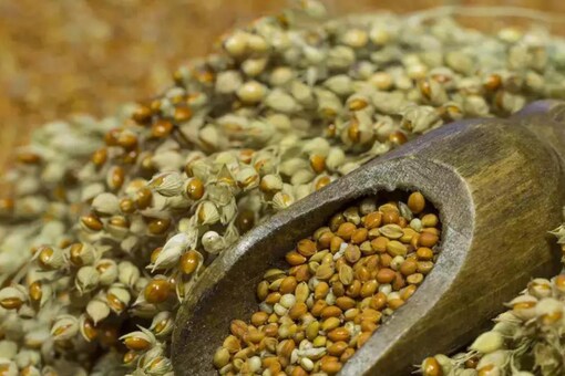 2023 Is The Year of Millets, What This Means for This Traditional ...