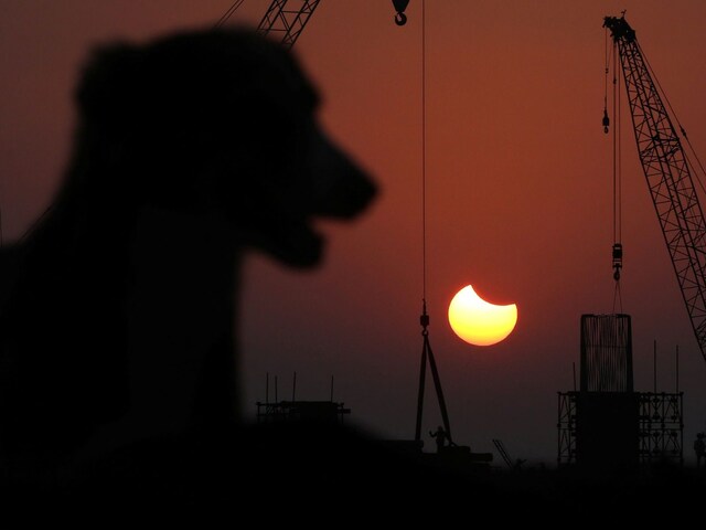 Dog, 2 Bikes Fall Into Pit as Road Caves in Delhi - News18