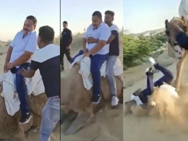 Viral Video Of Camel Safari Gone Wrong Leaves Internet In Splits - News18