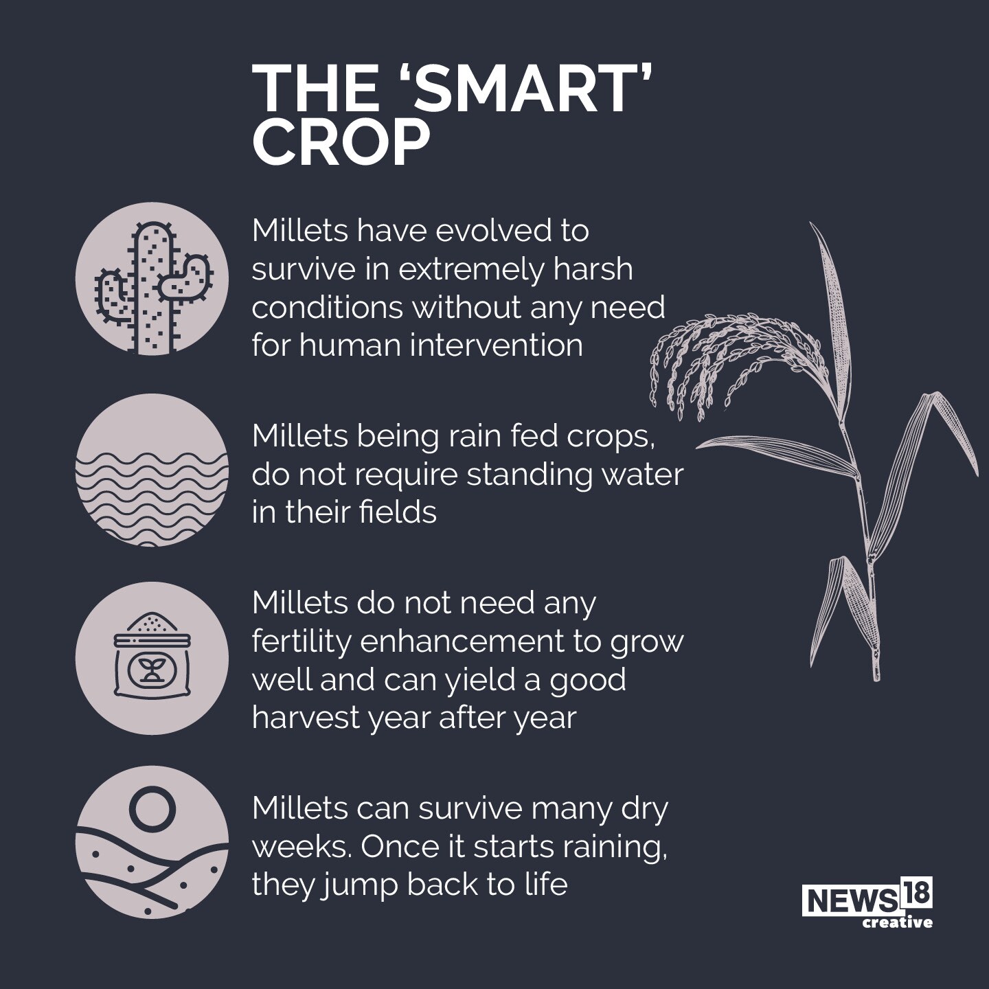 As India Pushes For Millet Production, a Look At Why the Crop is Good ...