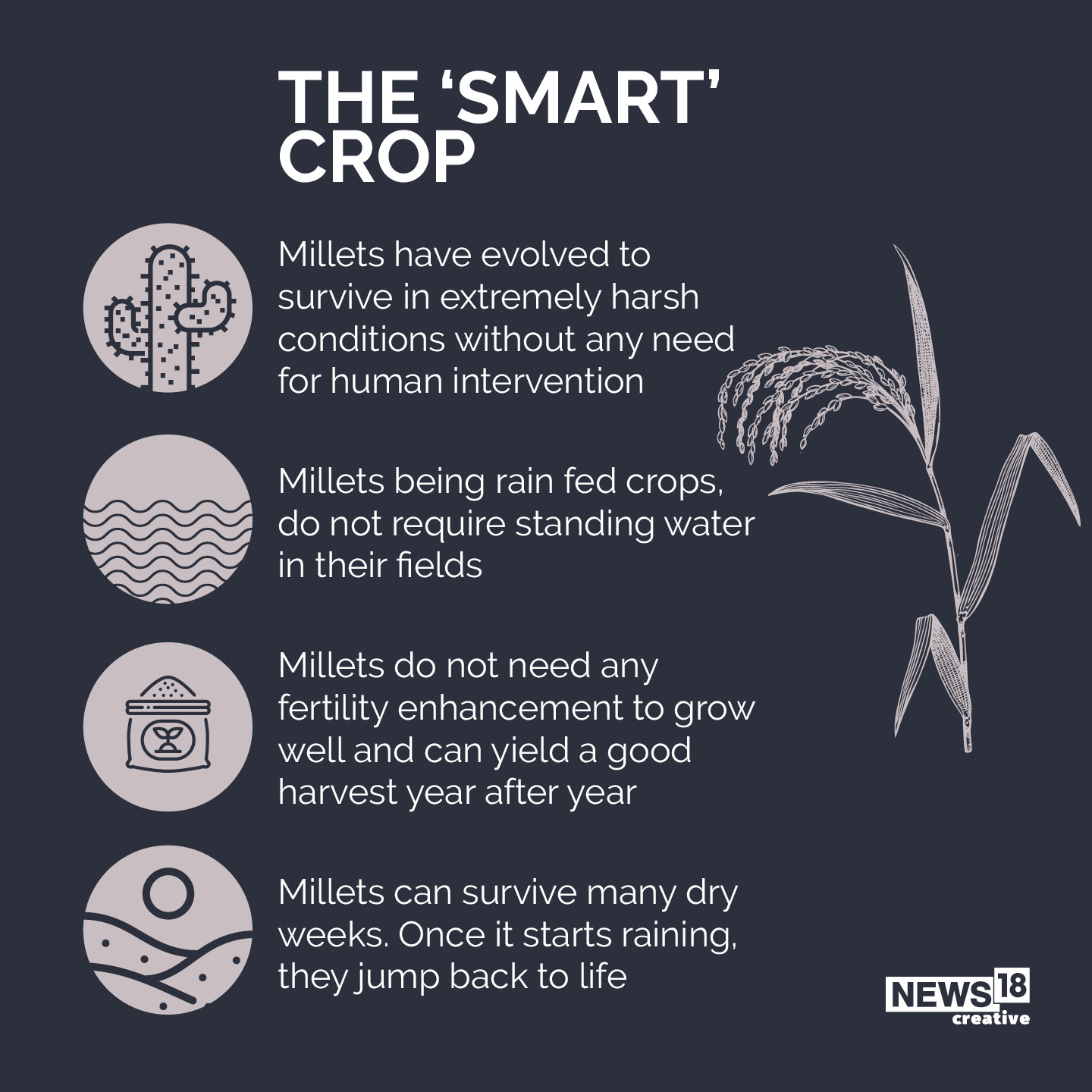 As India Pushes For Millet Production, a Look At Why the Crop is Good ...
