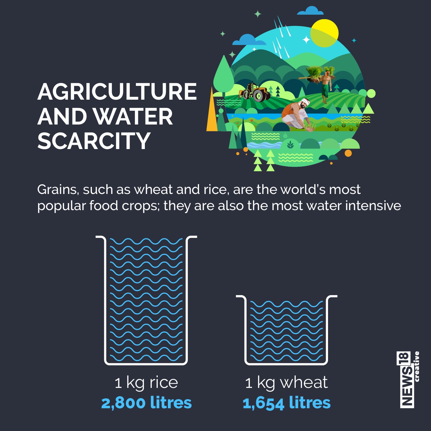 As India Pushes For Millet Production, a Look At Why the Crop is Good ...
