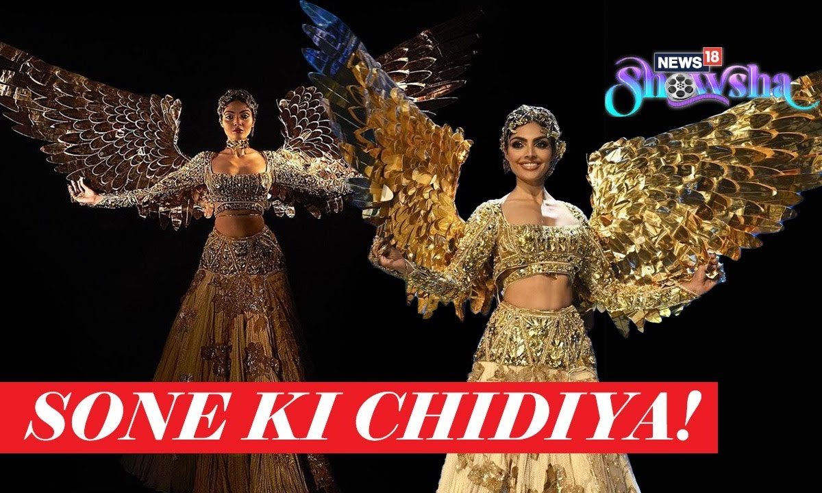 Miss Universe India Divita Rai Opts For 'Sone Ki Chidiya' Costume At ...