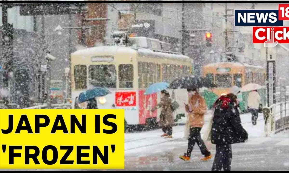 Japan Snowstorm Live Updates | Heavy Snow Causes Havoc In Japan As Cold ...