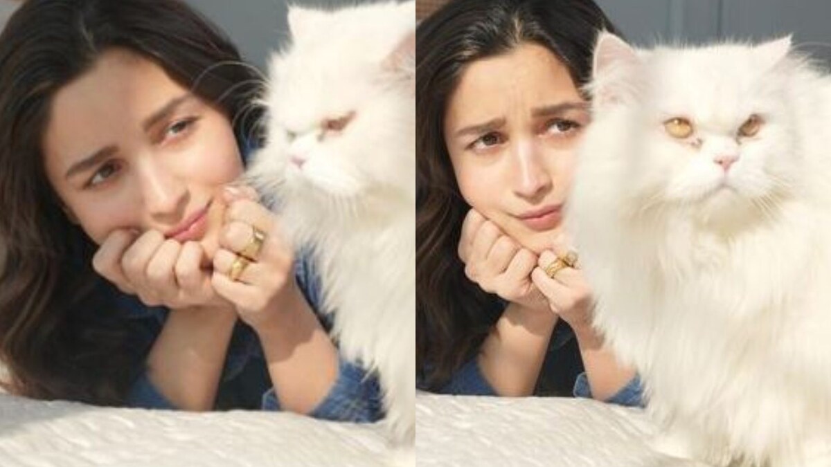 Alia Bhatt Gets Royally Ignored by Her Cat Edward in Latest Pics, Says ...