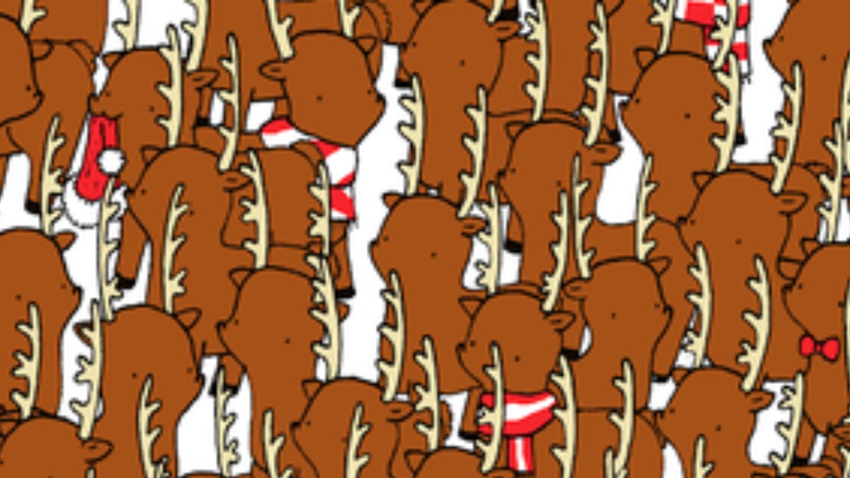 Optical Illusion: Find the Bear Hidden in This Brain Teaser Puzzle in ...