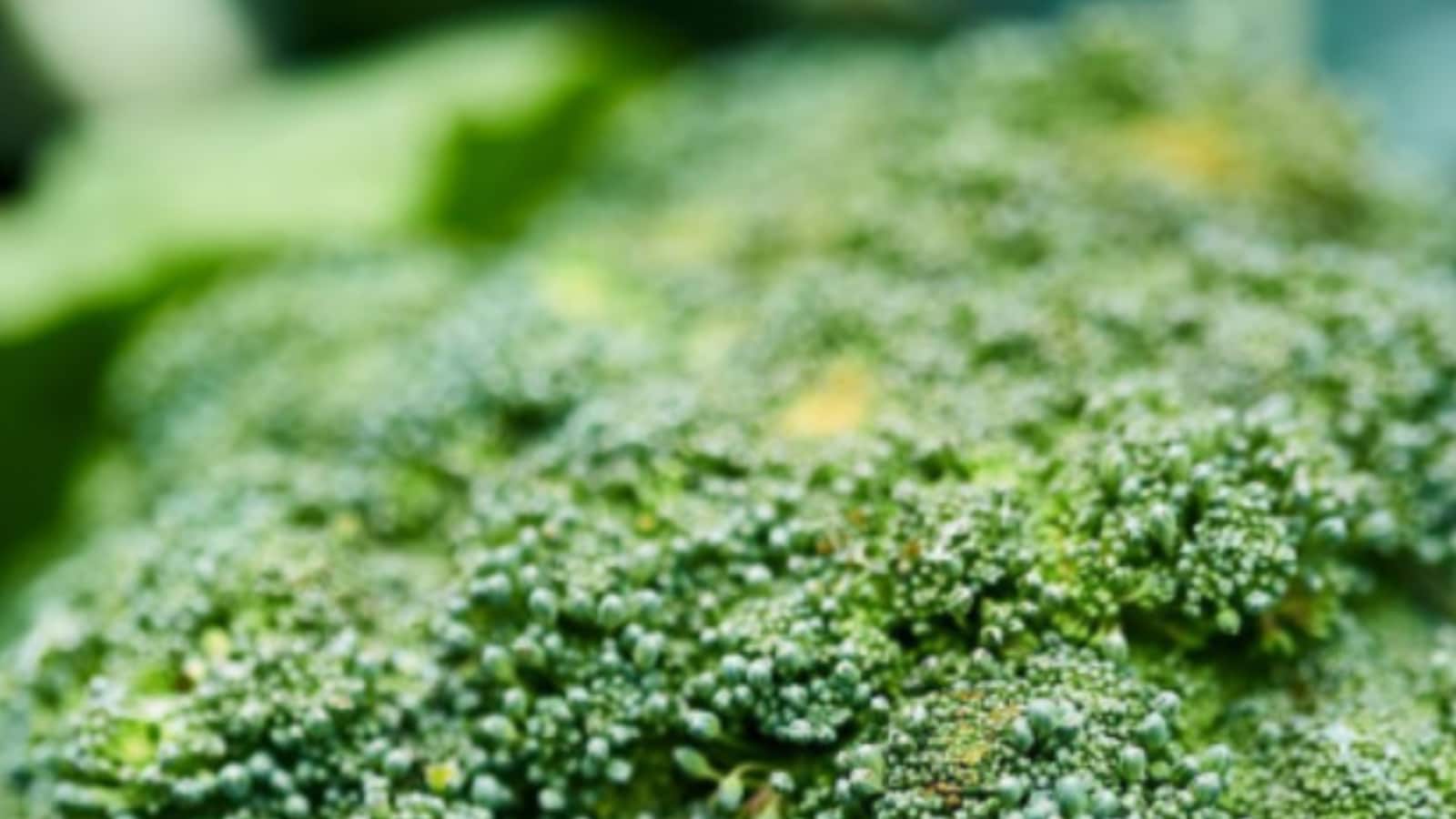 How Global Warming Could Make Broccoli Look More Like Cauliflower ...