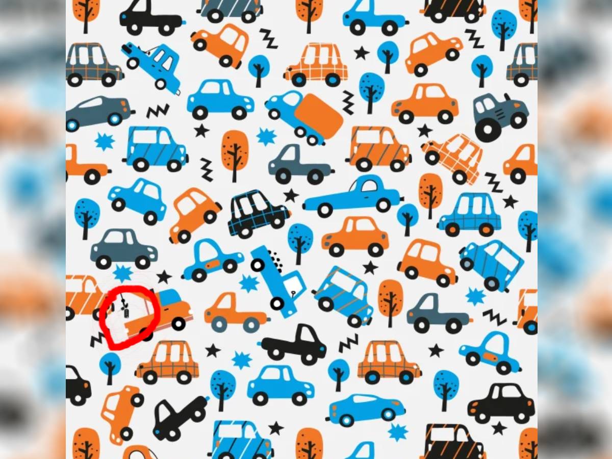 Optical Illusion: Can You Find The Car Keys In This Image Within 20 ...
