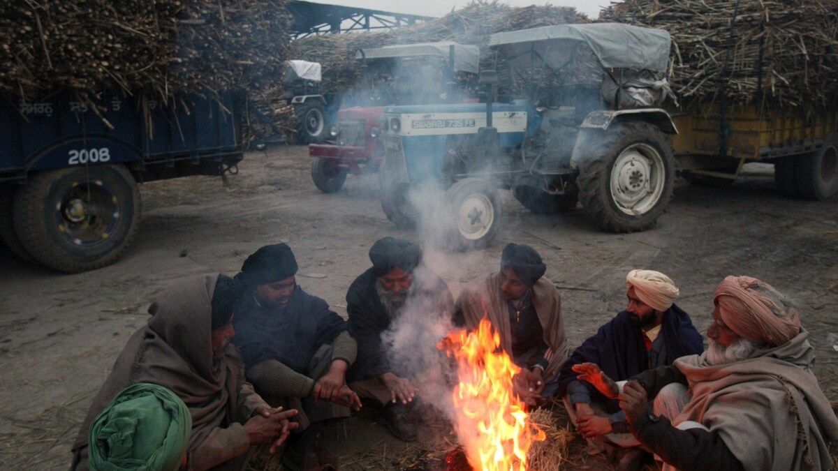 Slight Respite from Cold Wave in Punjab & Haryana - News18
