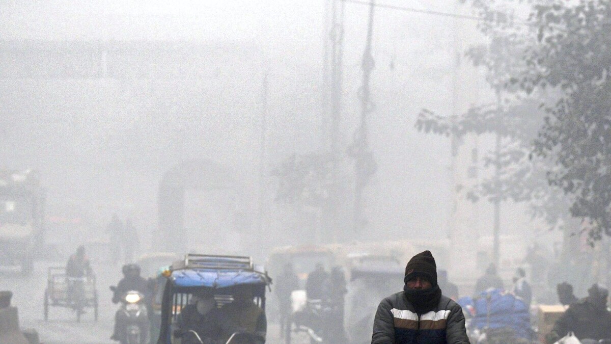 Biting Cold to Continue in North India for Next 48 Hrs; IMD’s Red Alert ...