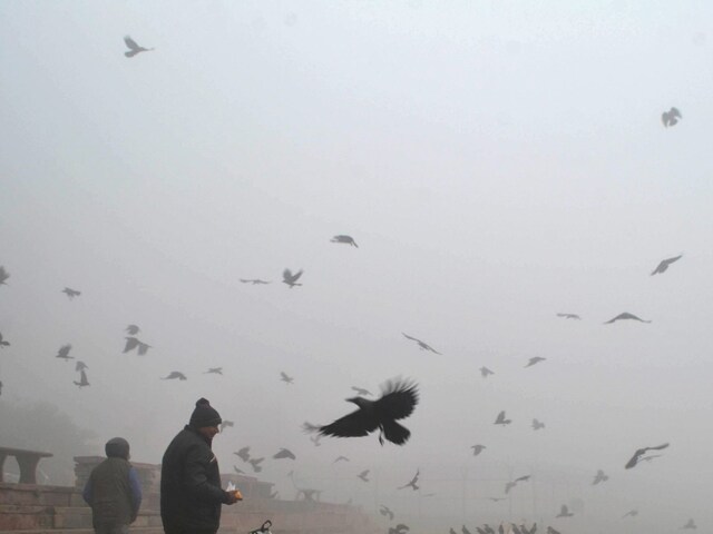 Weather Updates: 25 Dead in UP's Prayagraj, IMD Says 'Intense' Cold ...