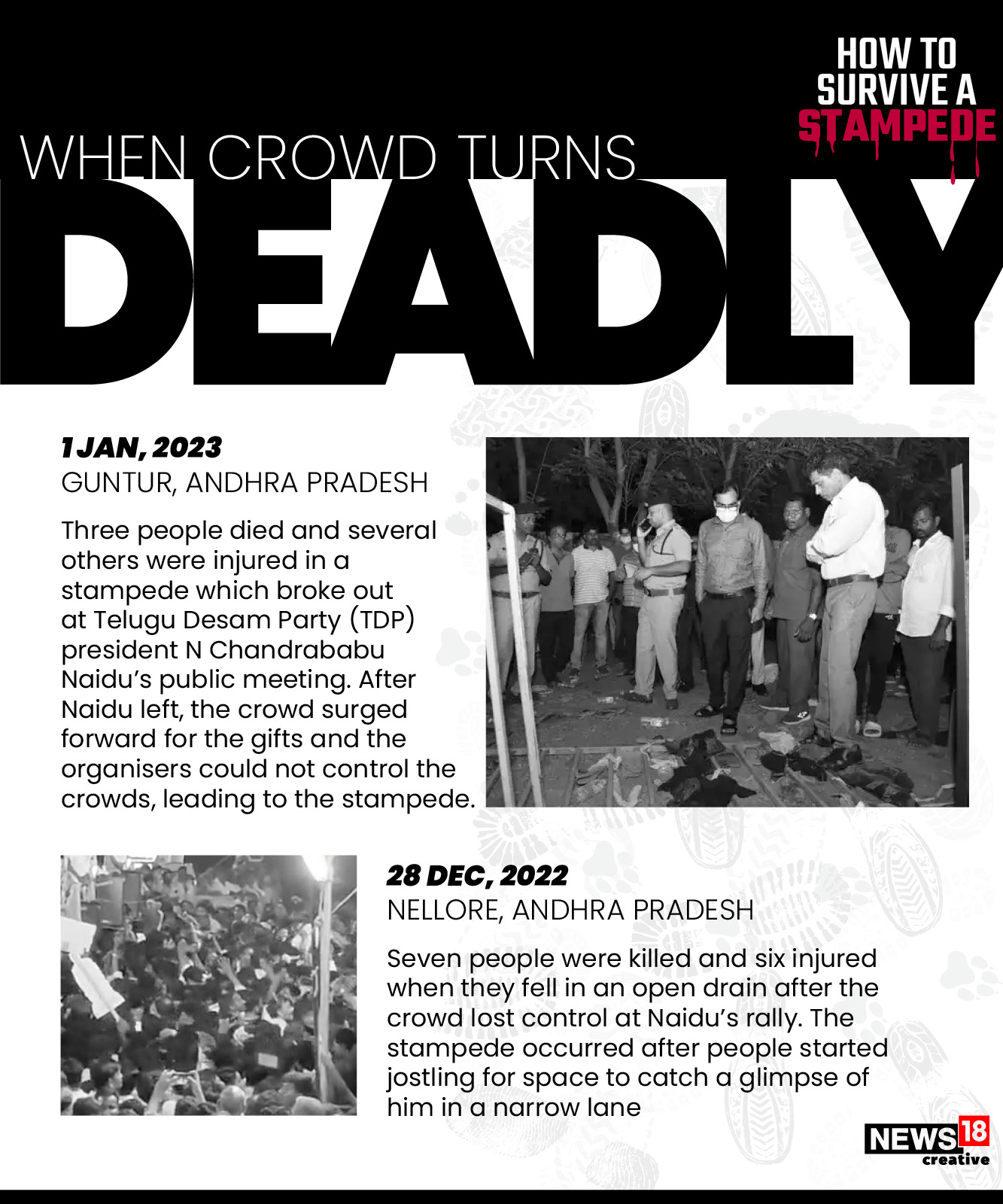 How To Survive a Stampede & How They Can Become Deadly | Explained In ...