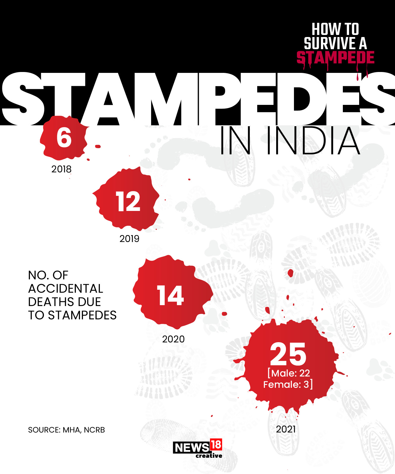 How To Survive a Stampede & How They Can Become Deadly | Explained In ...