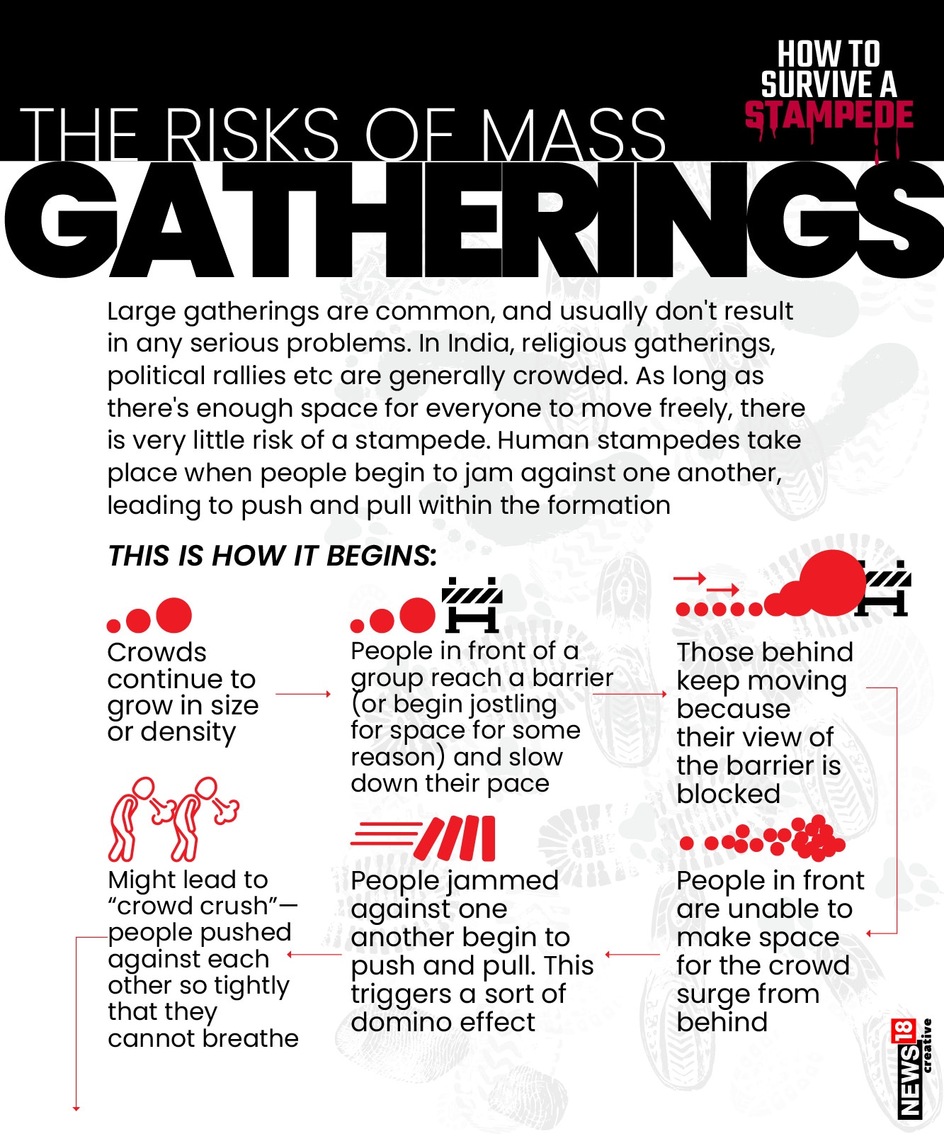 How To Survive a Stampede & How They Can Become Deadly | Explained In ...