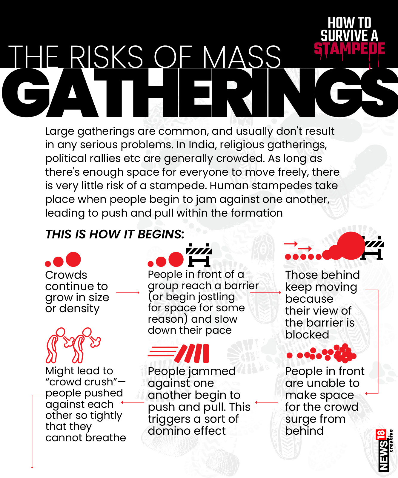 How To Survive a Stampede & How They Can Become Deadly | Explained In ...