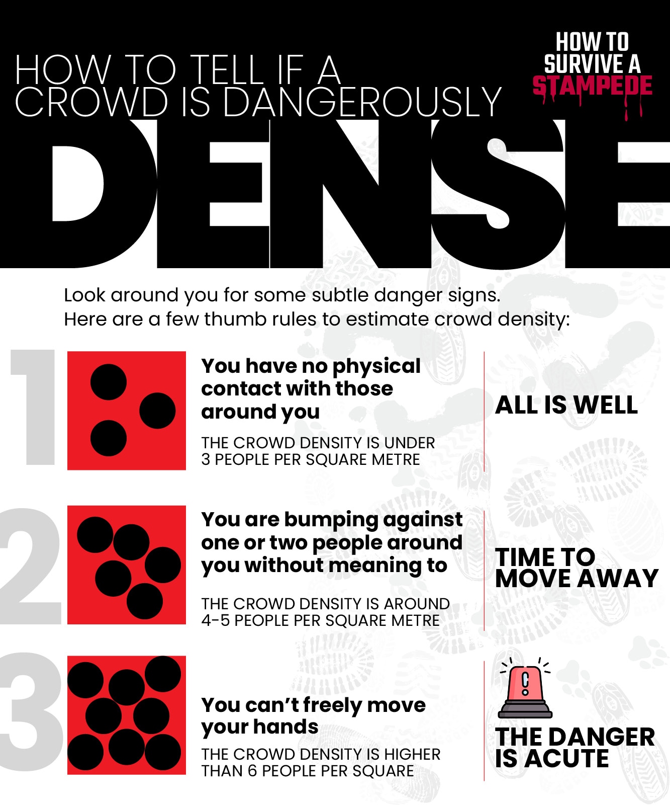 How To Survive a Stampede & How They Can Become Deadly | Explained In ...