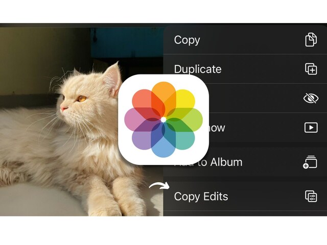 How To Copy And Paste Photo Edits On iPhone: A Step-By-Step Guide - News18