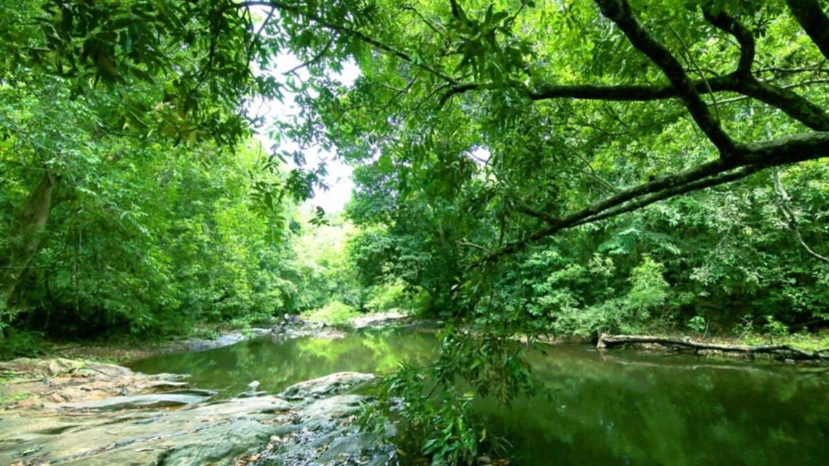 People in Buffer Zones Won't Be Displaced, Can Continue with Agriculture: Centre - News18