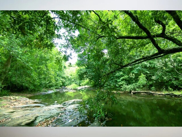 People in Buffer Zones Won't Be Displaced, Can Continue with Agriculture: Centre - News18