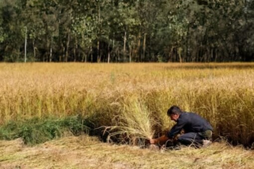 What Are The Different Types of Land-use in India? Learn in Classes ...