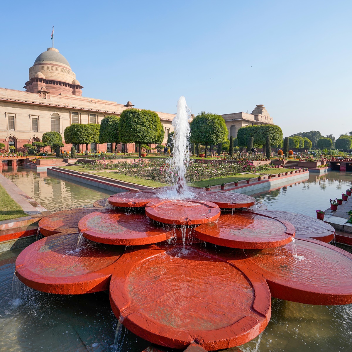 Daisies, Tulips & Much More: Mughal Gardens Renamed As 'Amrit Udyan ...