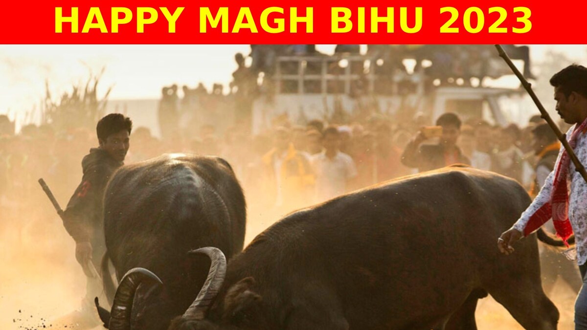 Happy Magh Bihu 2023: Bhogali Bihu Wishes, Photos, Status, Quotes ...