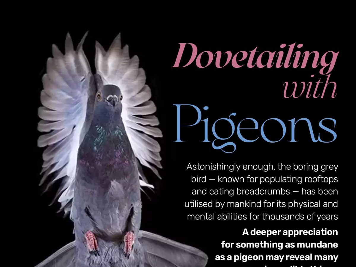 With Nearly 400 Million Flying Around The World, Look At Some ...