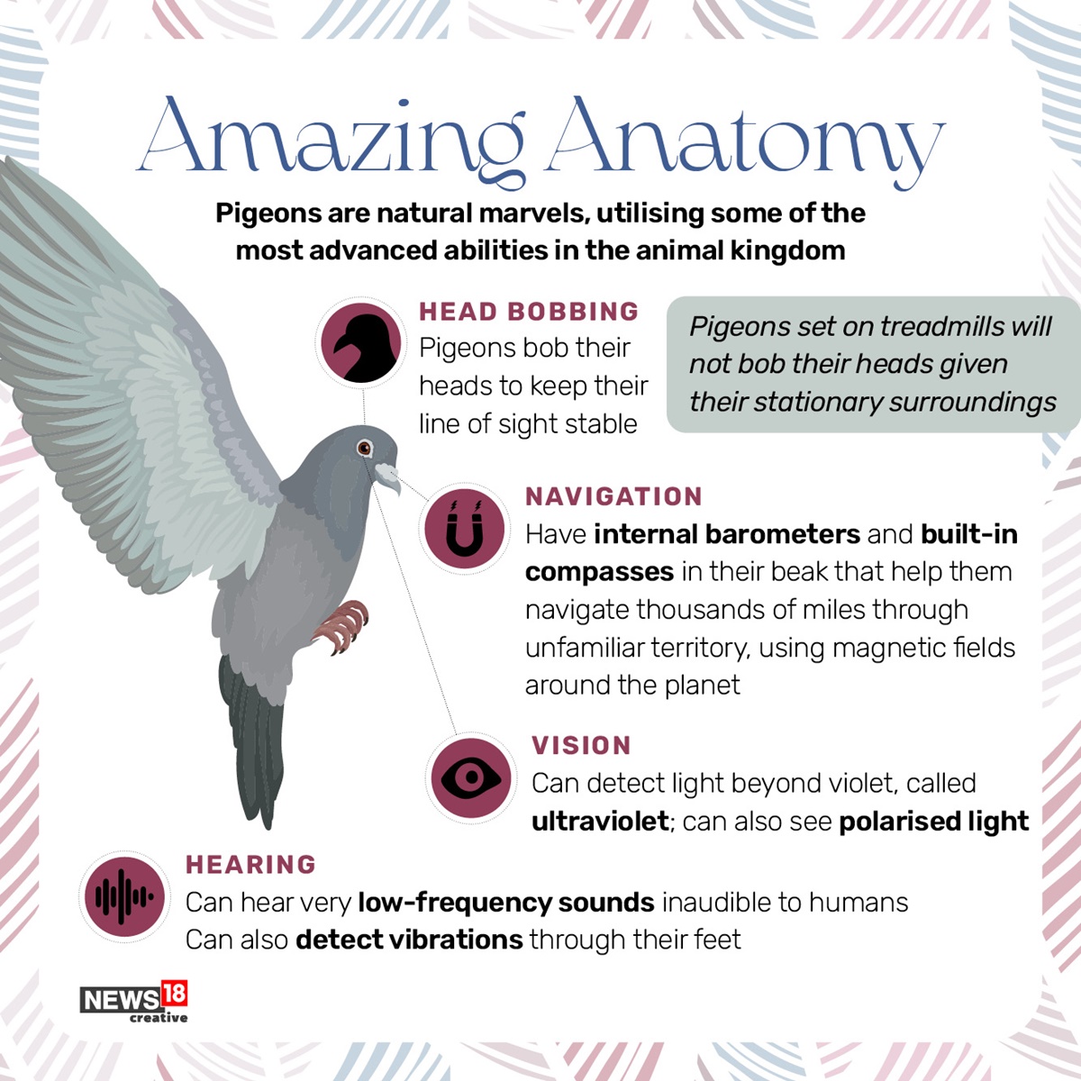 With Nearly 400 Million Flying Around The World, Look At Some ...