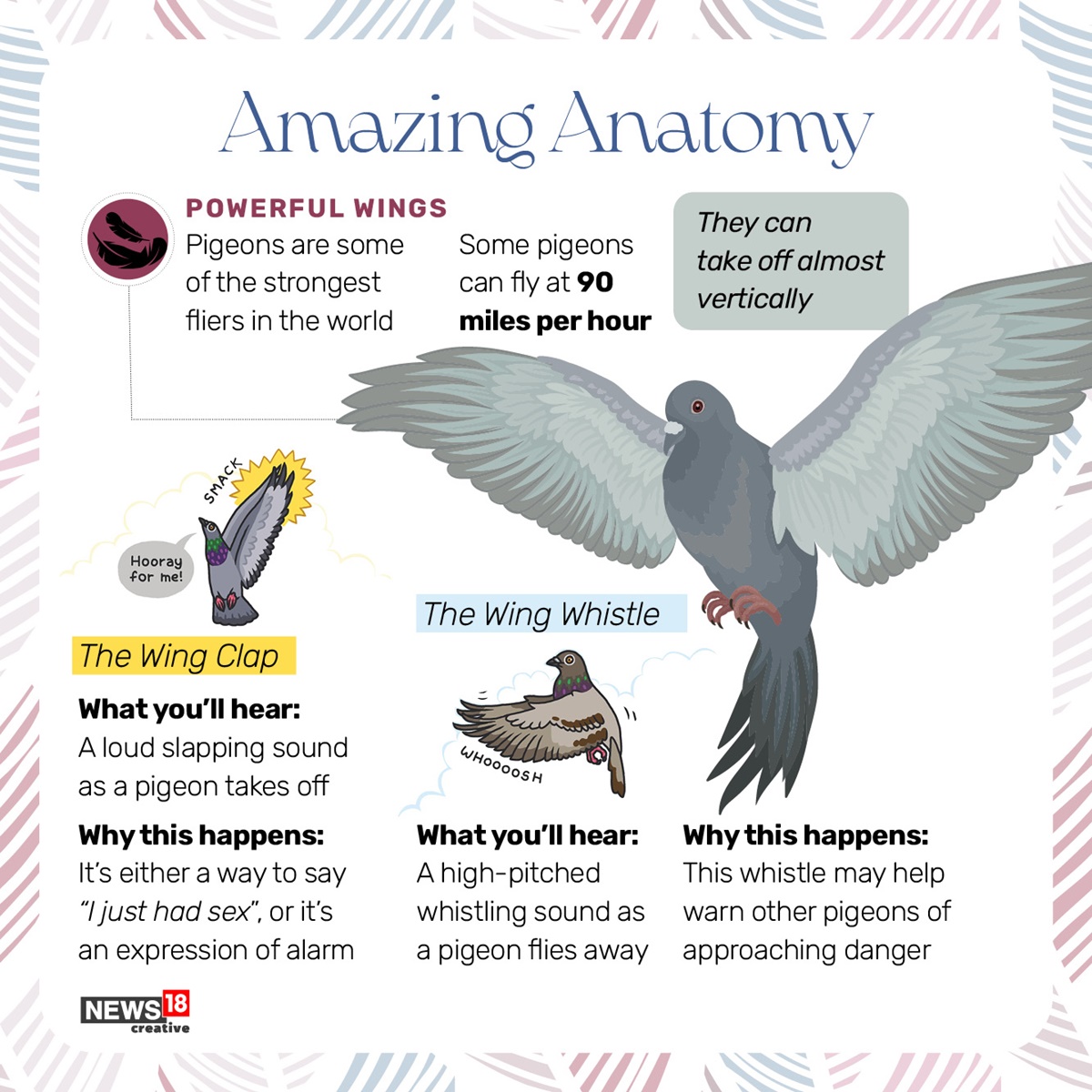 With Nearly 400 Million Flying Around The World, Look At Some ...