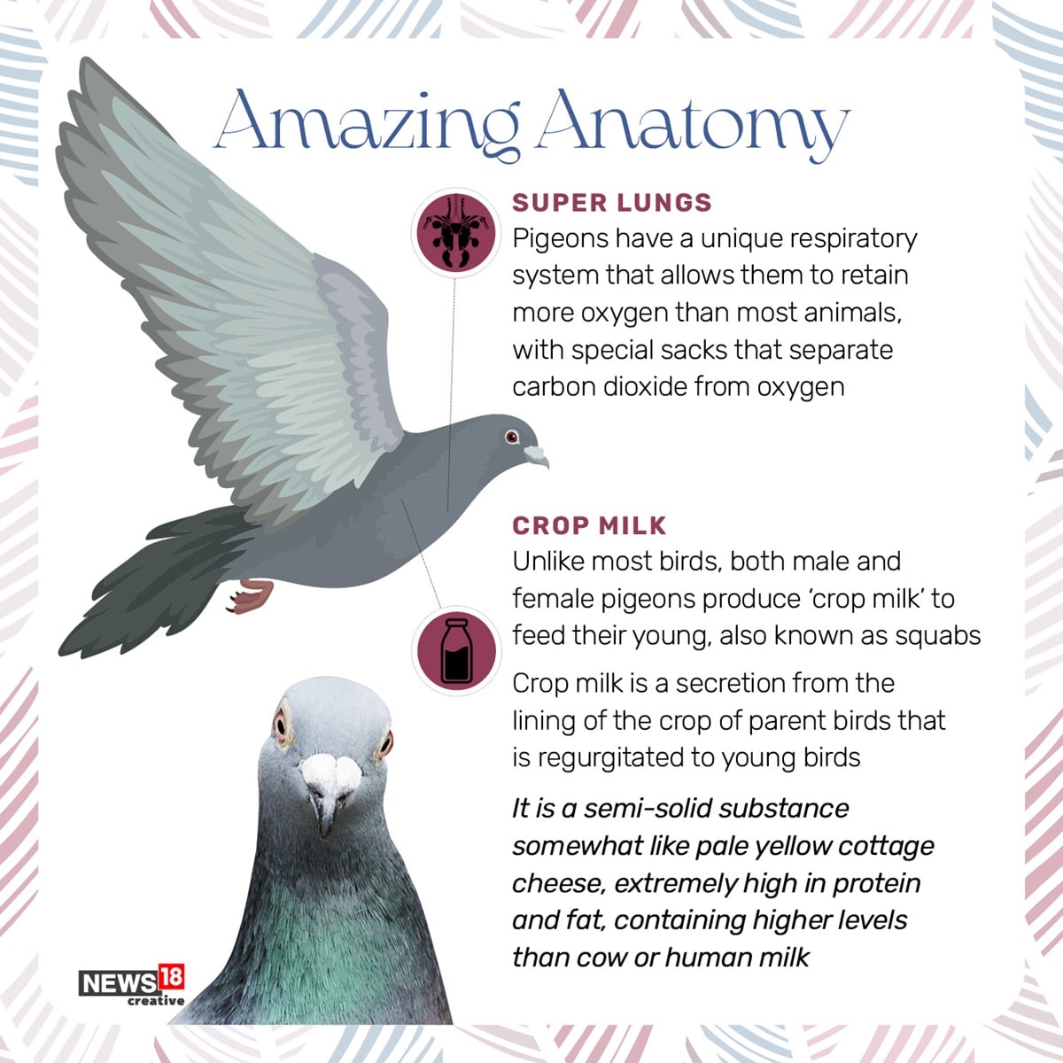 With Nearly 400 Million Flying Around The World, Look At Some ...